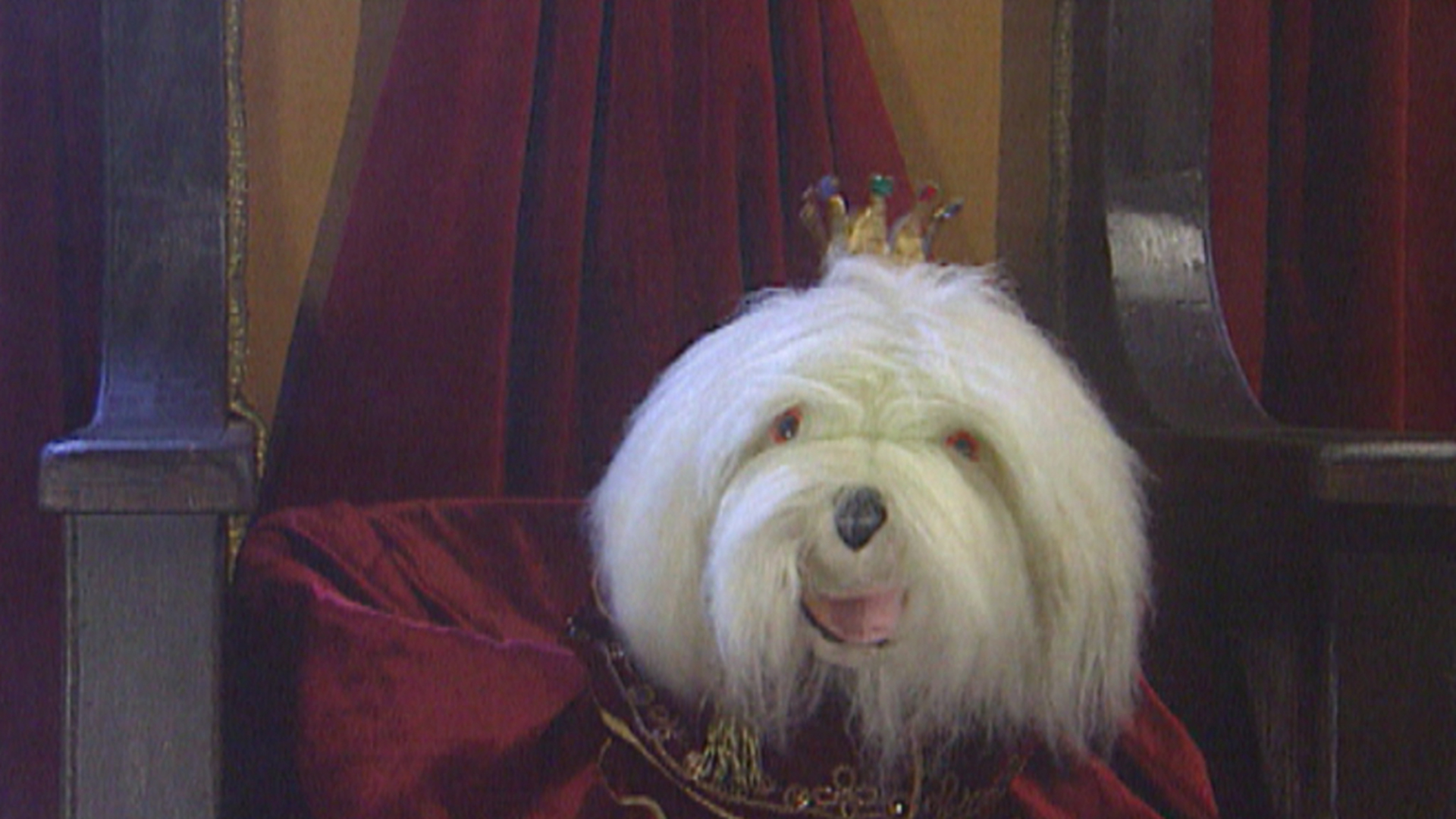 Het kasteel van koning Samson - Studio 100 GO